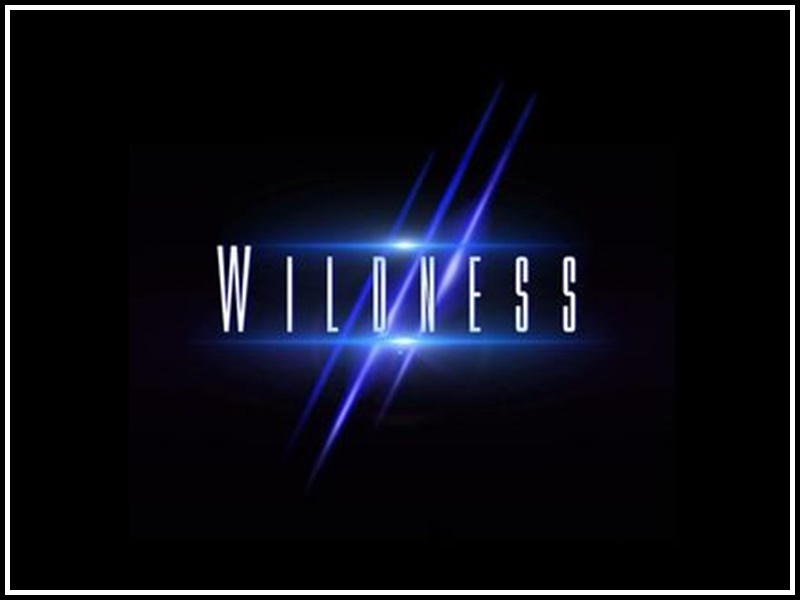 Wildness – Il singolo e video ufficiale di “Crucified” – Il Raglio del Mulo
